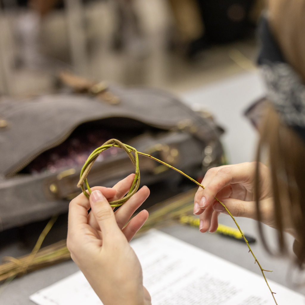 College of Liberal Arts and Sciences | The University of Iowa